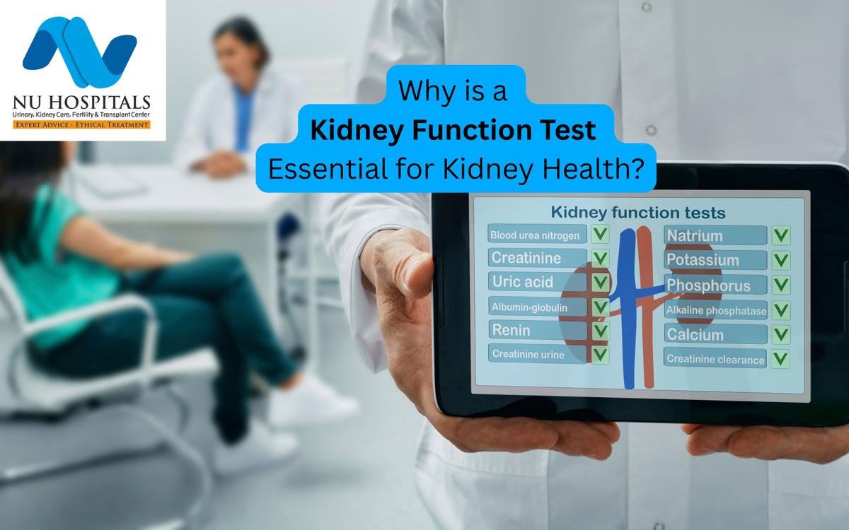 Kidney Function Test (KFT): Importance, Markers & Results