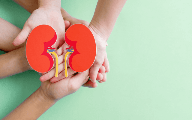 Helping your child adapt to life with chronic kidney disease.