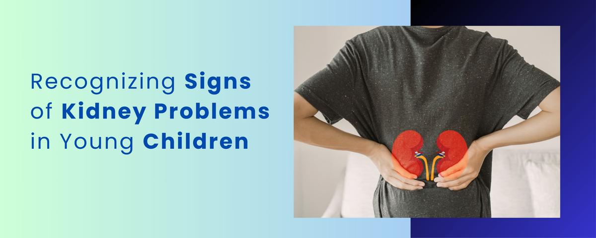 Recognizing the signs, types and treatment of kidney problems in ...